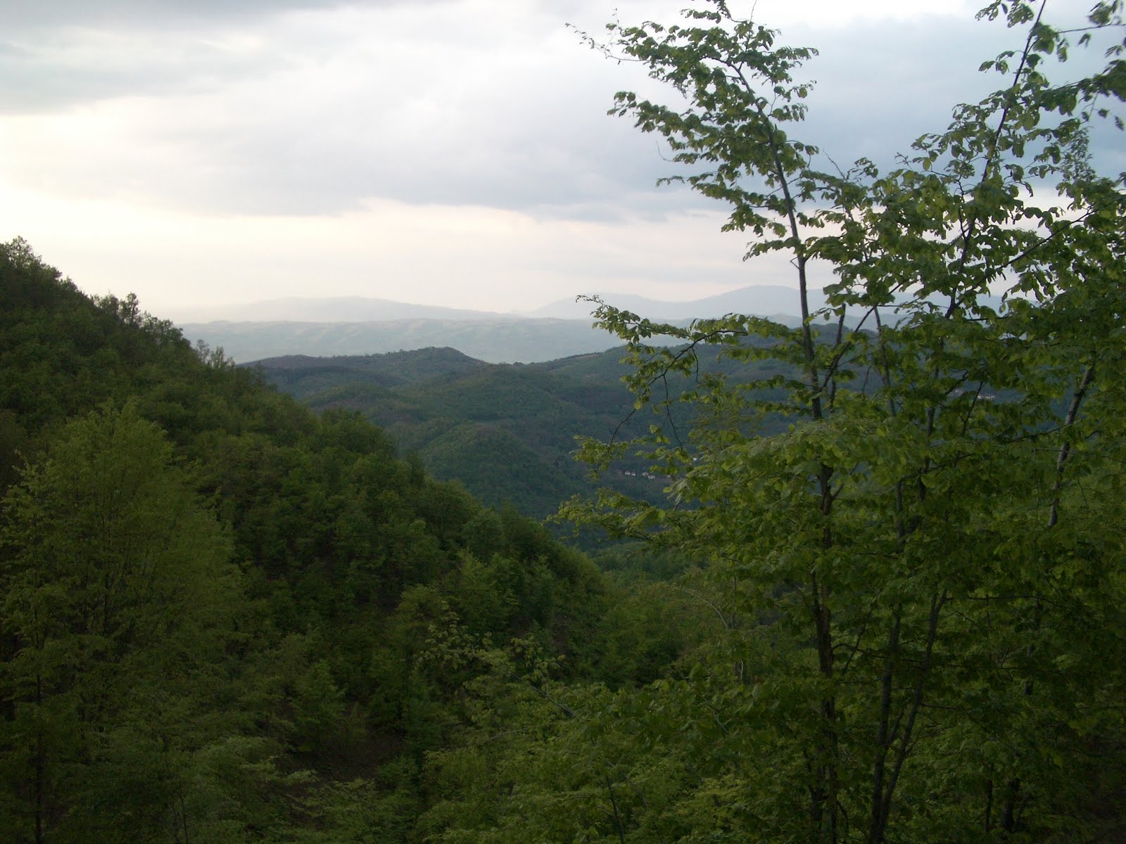 NOTHING AGAINST SERBIA: Lesson 3 in Traditional Serbian Rural ...