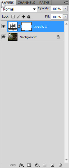 The Perfect Tyme: Photoshop Level Adjustment Tool