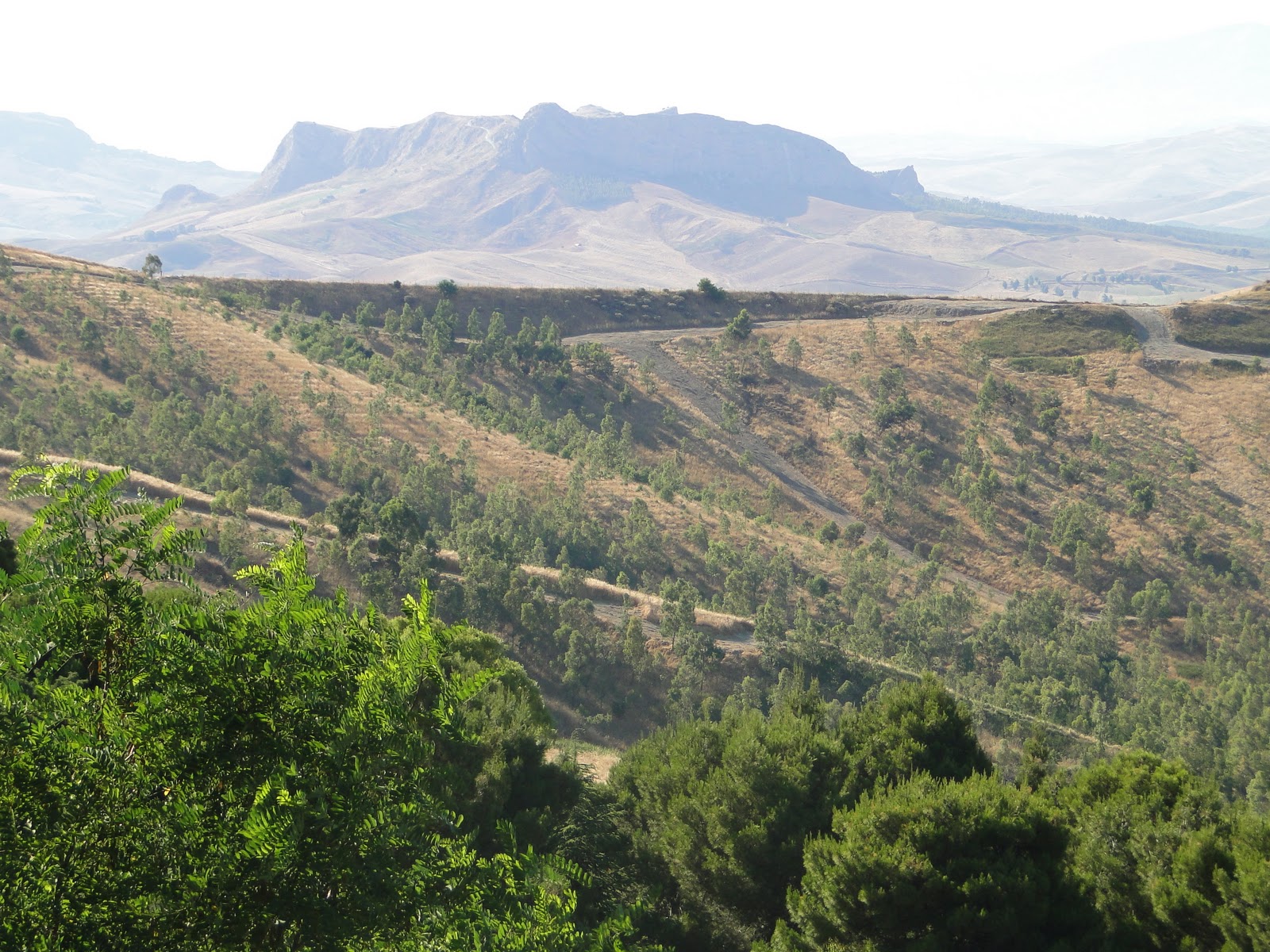 CONTESSA ENTELLINA - Hora e Kuntisës: Entella, la città sconosciuta