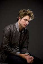 Fãs de Crepúsculo: Explicação das capas e titulos!