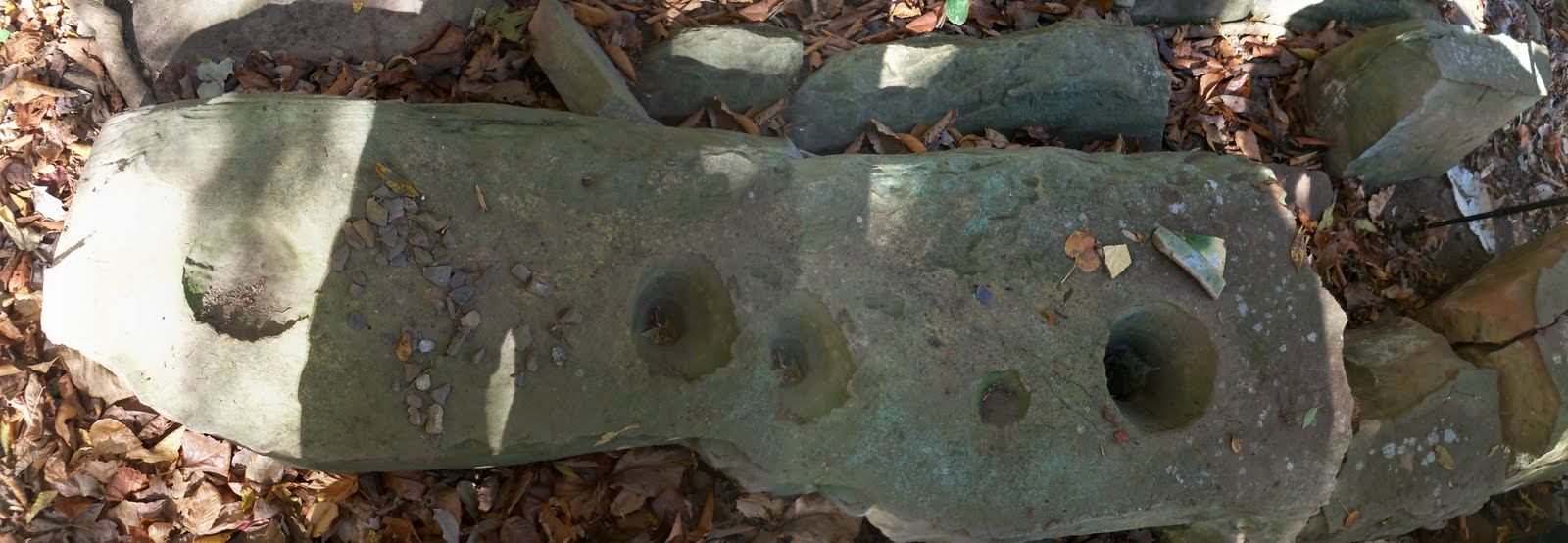 Rex's Adventures: Bankhead NF-Ship Rock, A Civil War Era Saltpeter Cave ...