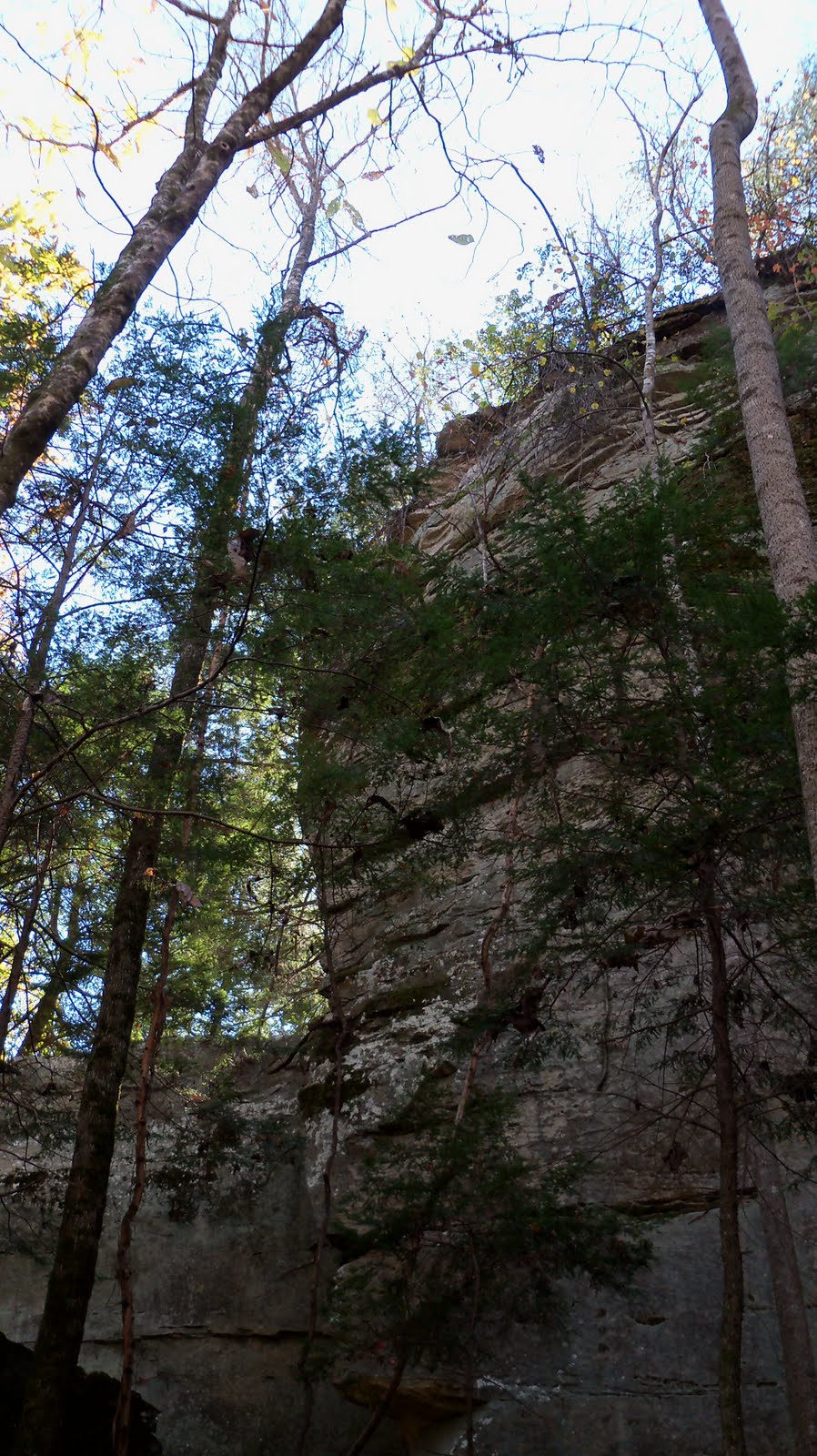 Rex's Adventures: Bankhead NF-Ship Rock, A Civil War Era Saltpeter Cave ...