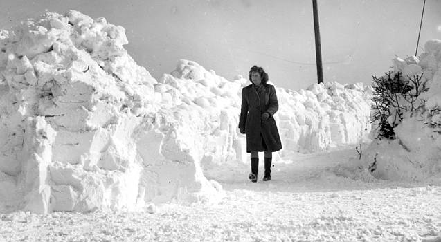 The Cynical Tendency: Taking The Temperature