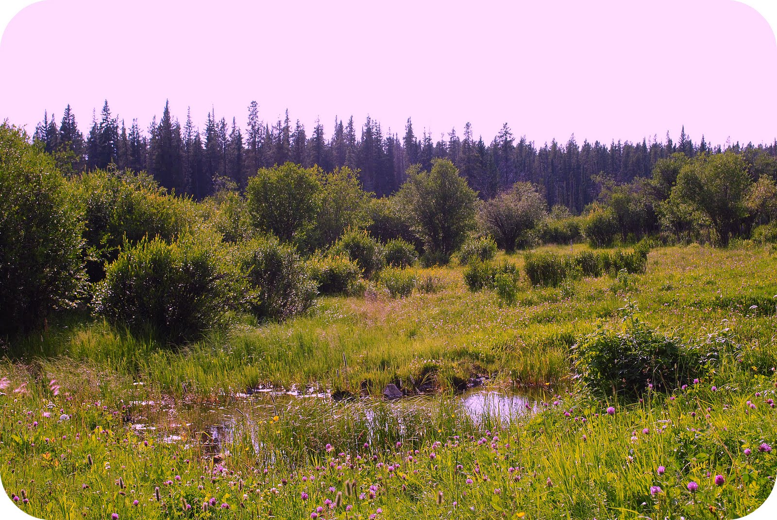 Little Prairie Baby: Remembering Big