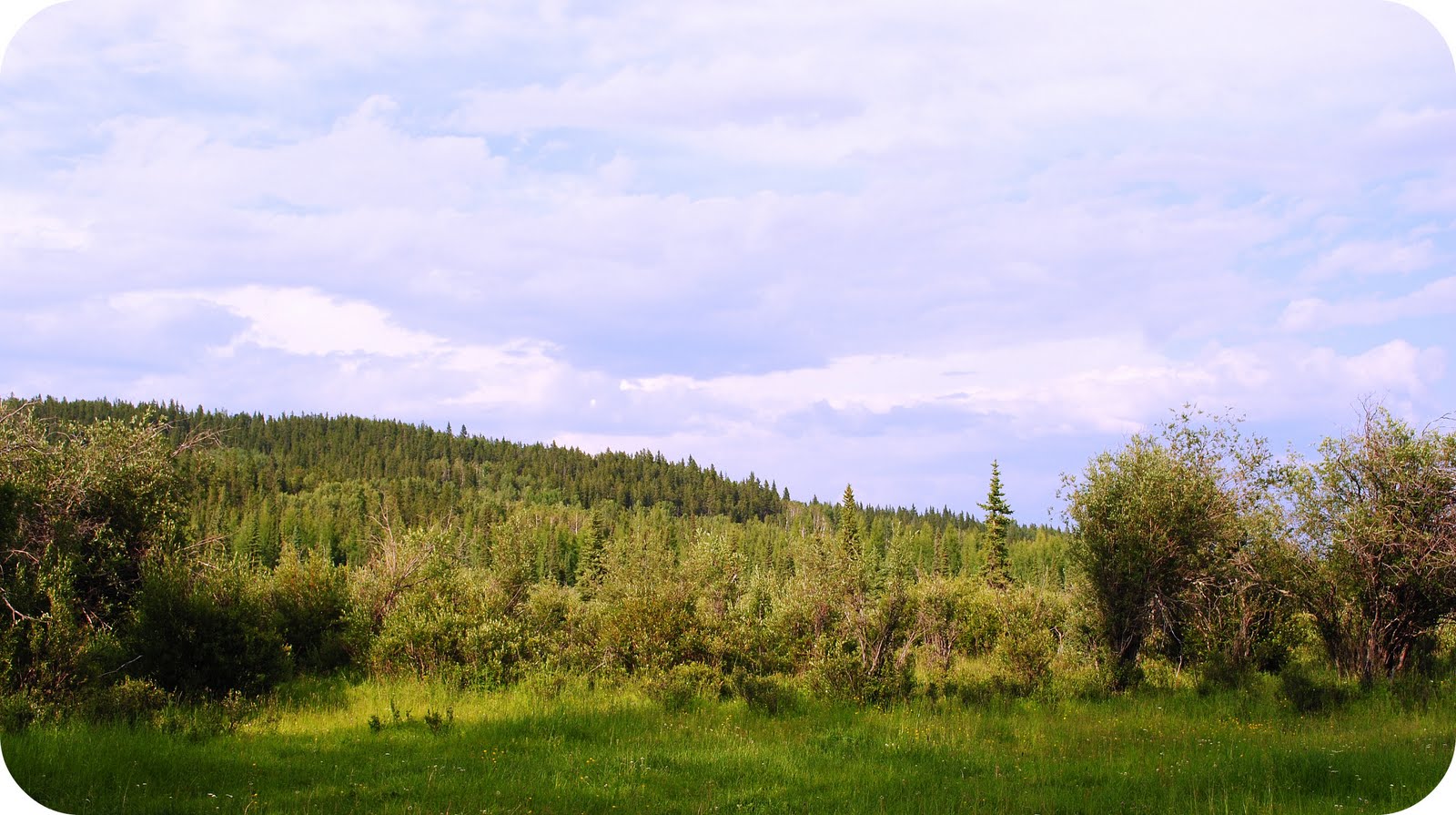 Little Prairie Baby: Remembering Big