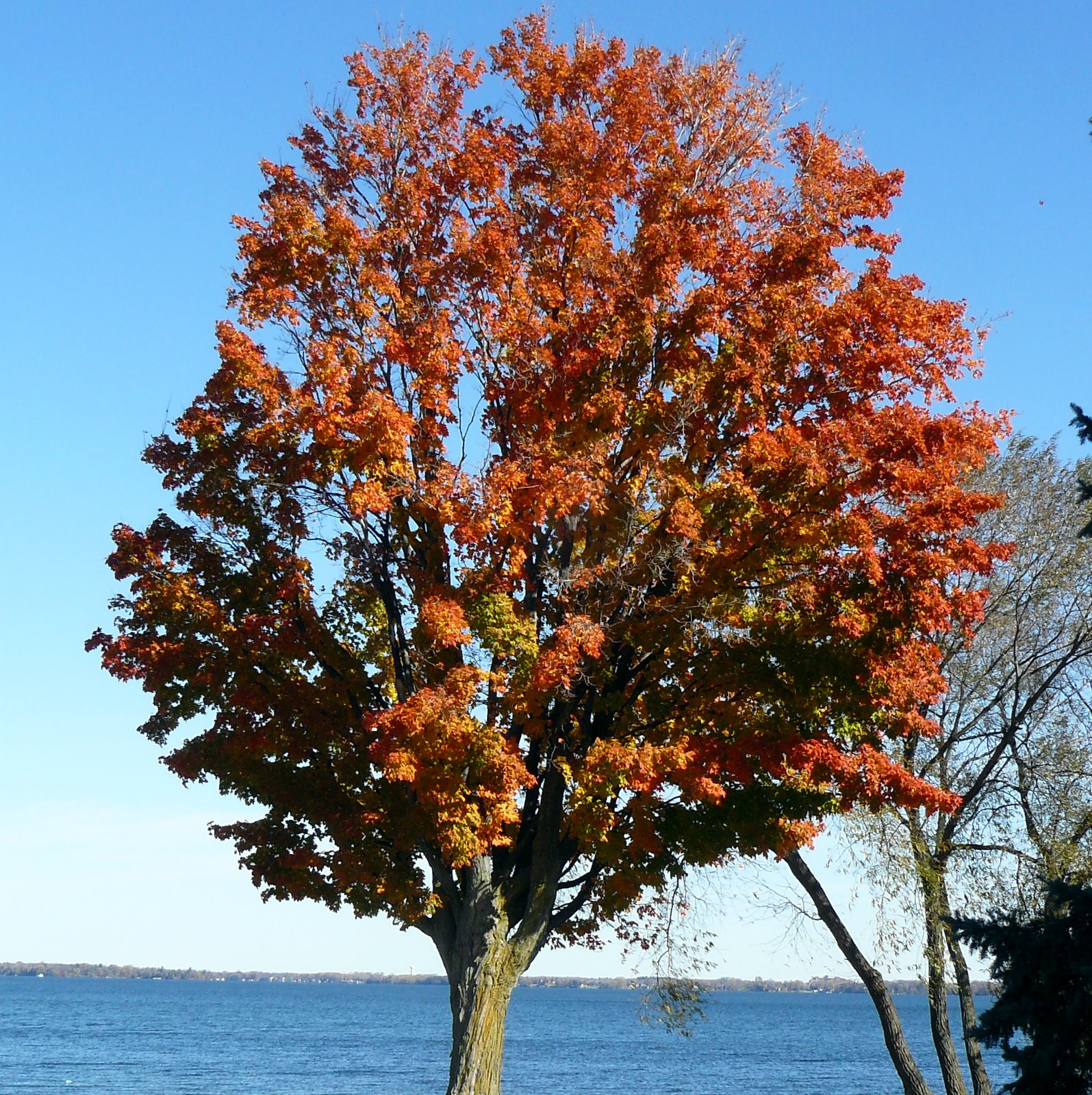 Day Trips, Getaways & All Things Fun North of Toronto: Orillia Ontario ...