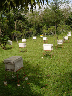 The Kenniverse is Pinoy: Bee Farm