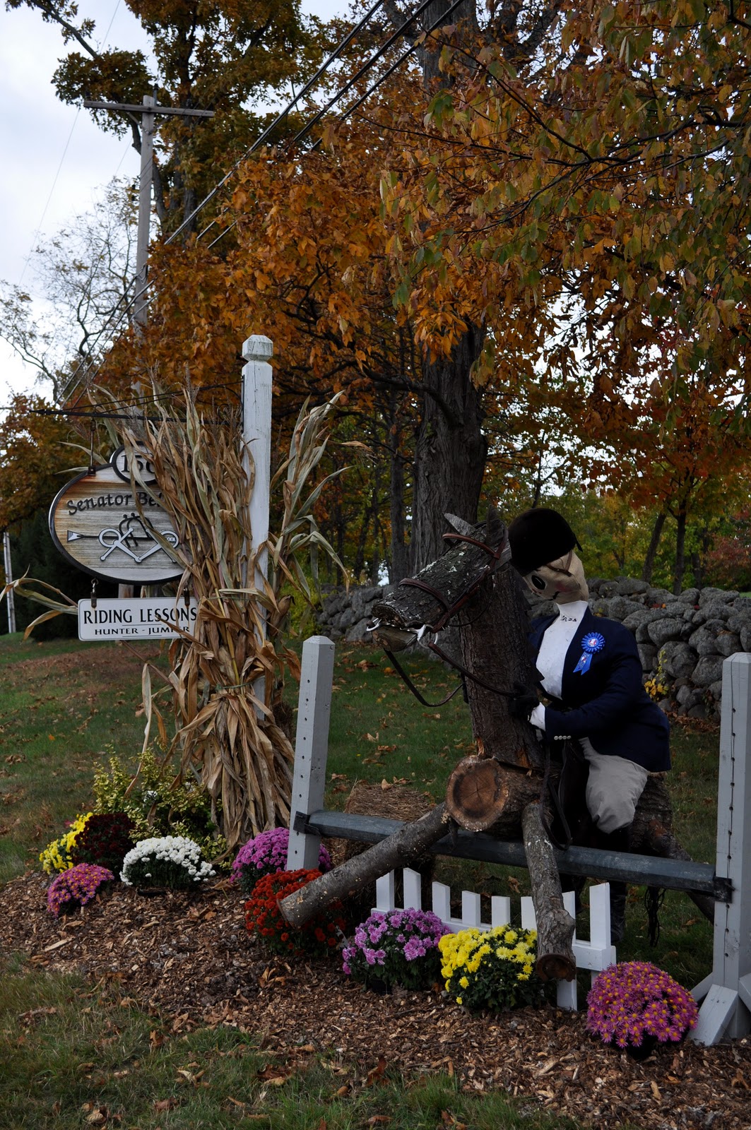 Michele Natali Photography: Scarecrows all around Chester, NH