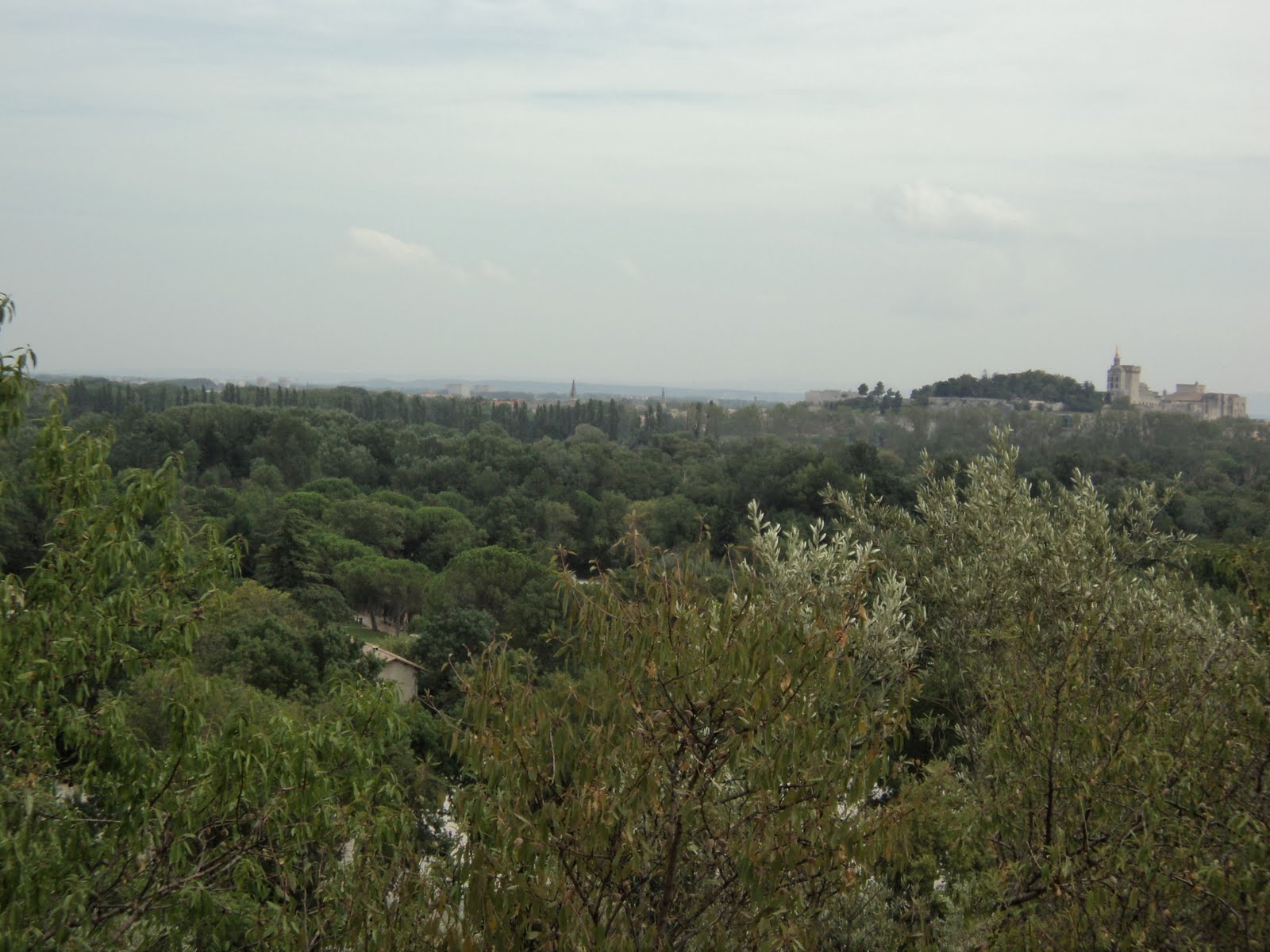 Perdue à Montpellier: Avignon y Nîmes