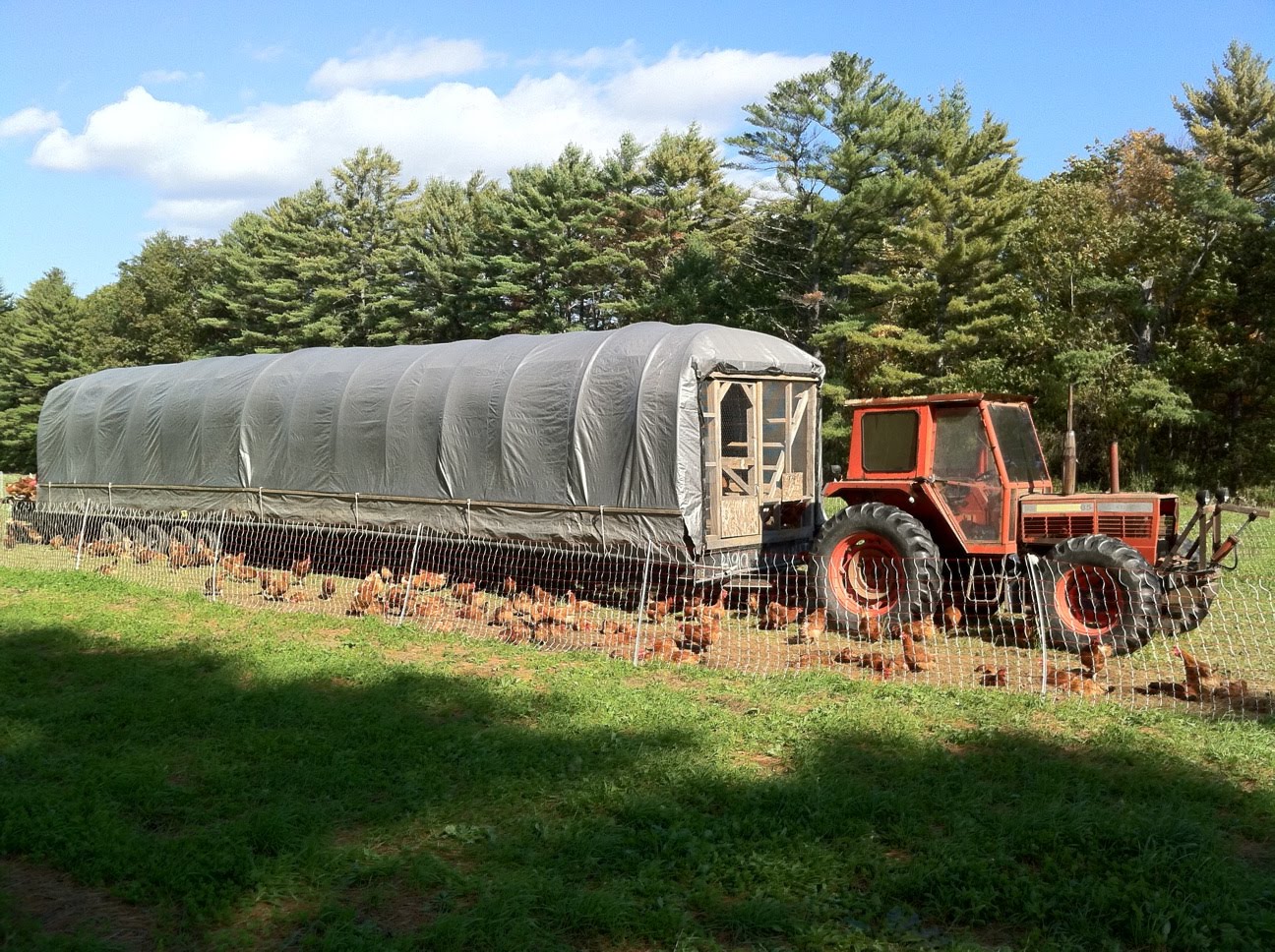 Blickensderfer: Gypsy Chicken Caravan