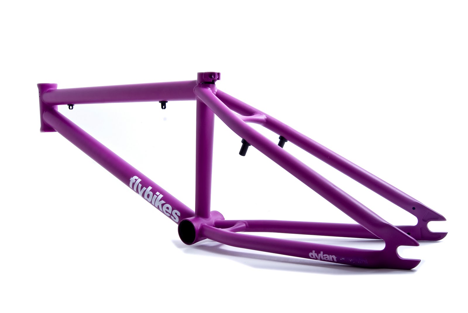 .: Entering the new decade with Fly!