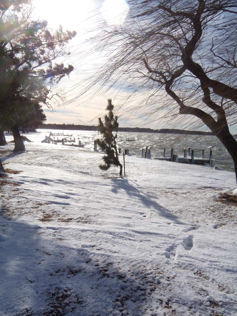 Small Holdings Farm: A Rare Virginia Shore Winter Wonderland