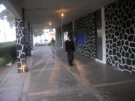 CBT Nº 3 Max Shein Heisler