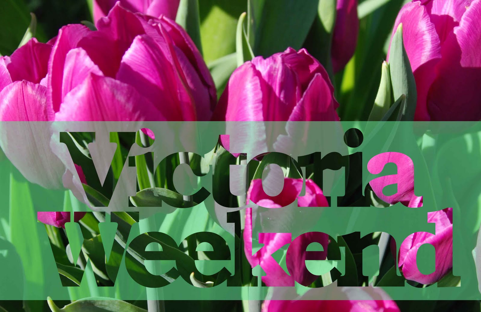 Crafty Passions: Victoria Weekend