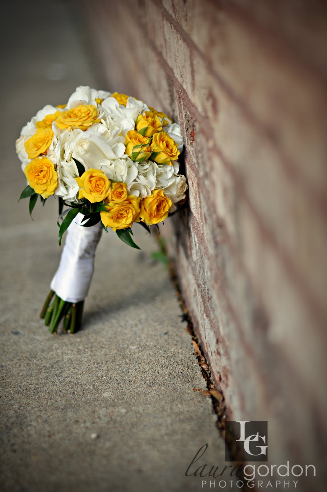 Laura Gordon Photography