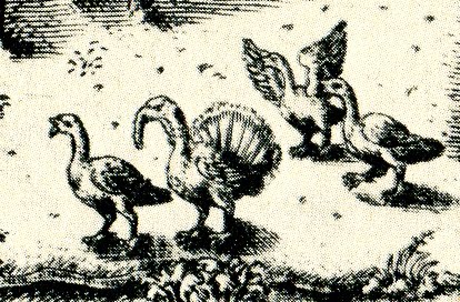 Antique Prints Blog: Turkey Prints