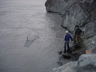 Alaska Diary: Bike race, fishing and Dawson City Music