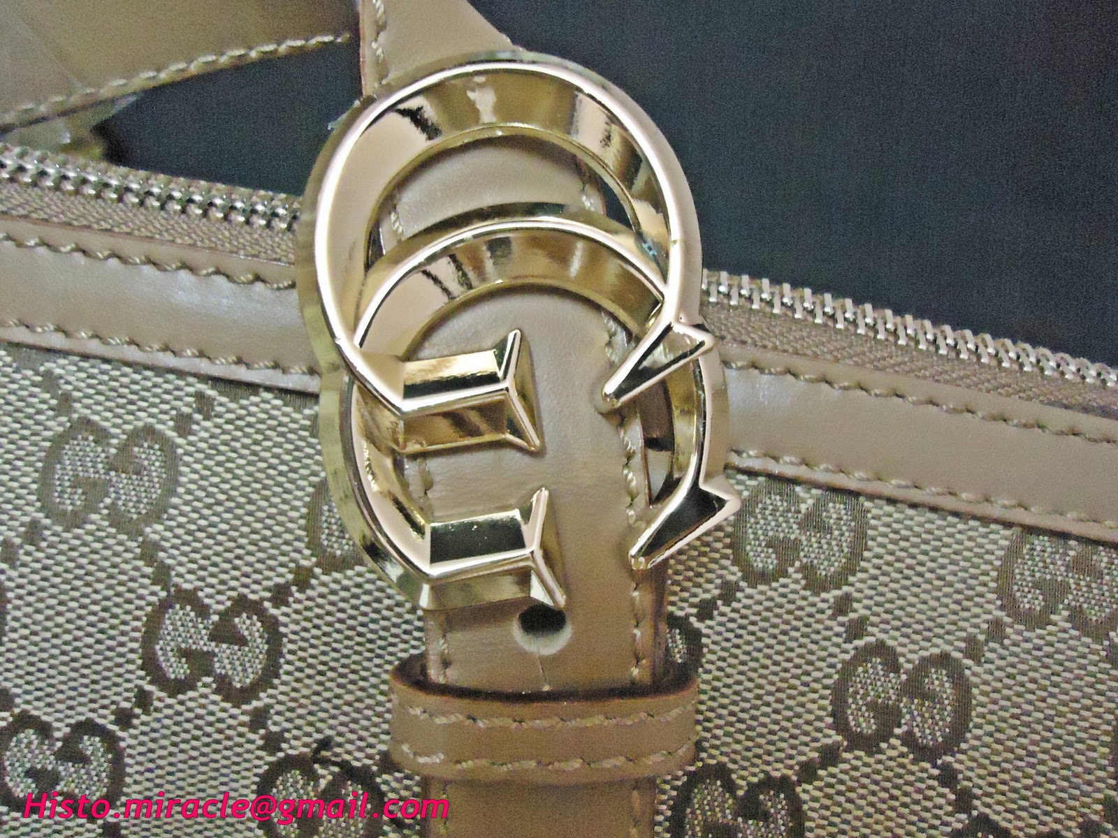Histo Miracle: GUCCI BAG - Histo.Miracle@gmail.com