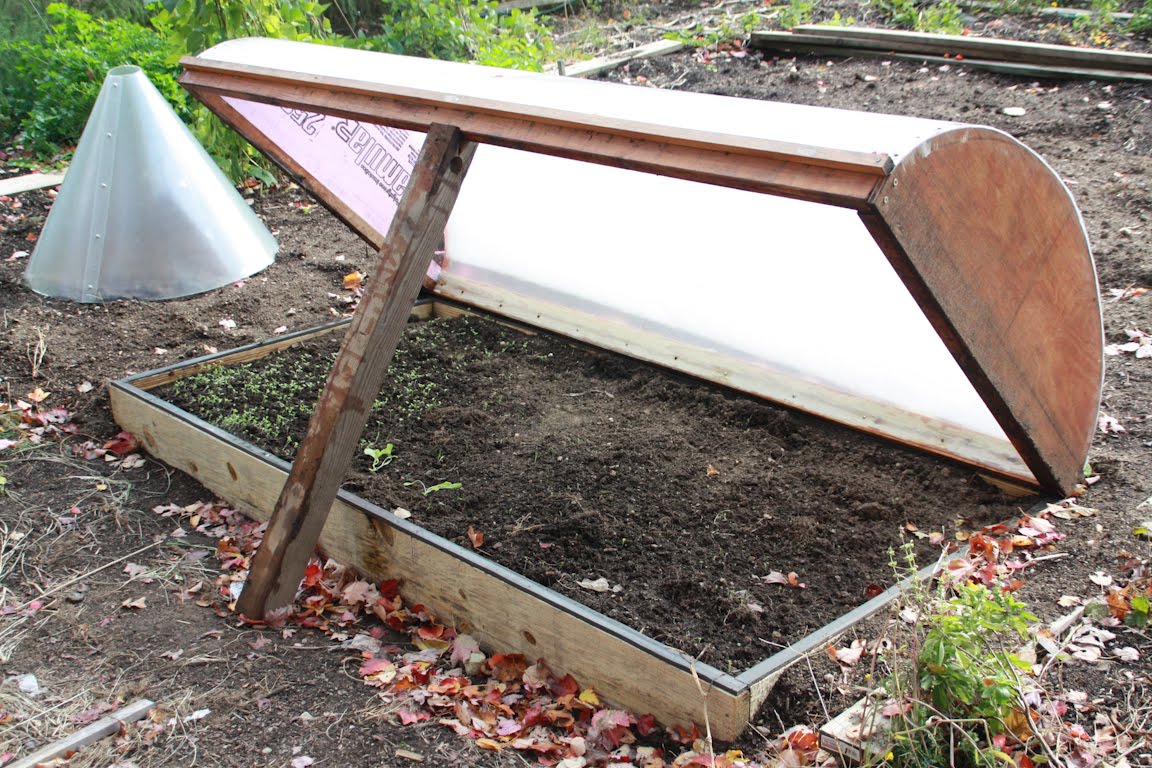 The Clueless Gardeners - A Garden Blog: The Solar Pod's First Winter