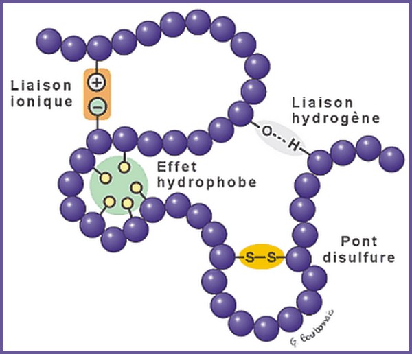 Peut-on cuire sans chaleur?: Première partie