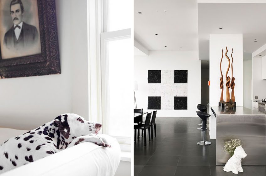 Gold Cage: Photography by Lucas Allen