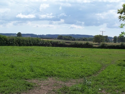 J.W. Feltham: The Legend Of The "Shapwick Monster" (Shapwick, Dorset)