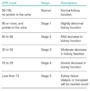 Kidney Beans: How Well are Your Kidneys Doing