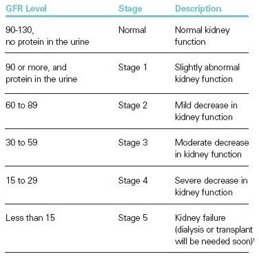 Kidney Beans: How Well are Your Kidneys Doing