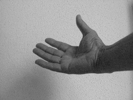 Des mots, des images...: Une main tendue...
