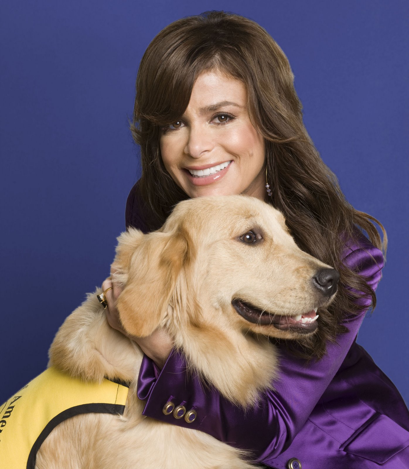 DOG PET DOG PET