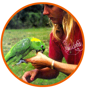 Bird-Pets: Stop Parrot Biting - Quick and Simple!