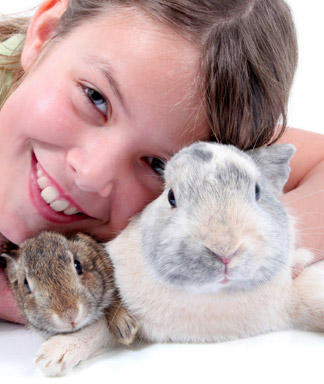 Pet -Petlove: Basic Necessities of Your Pet Rabbits