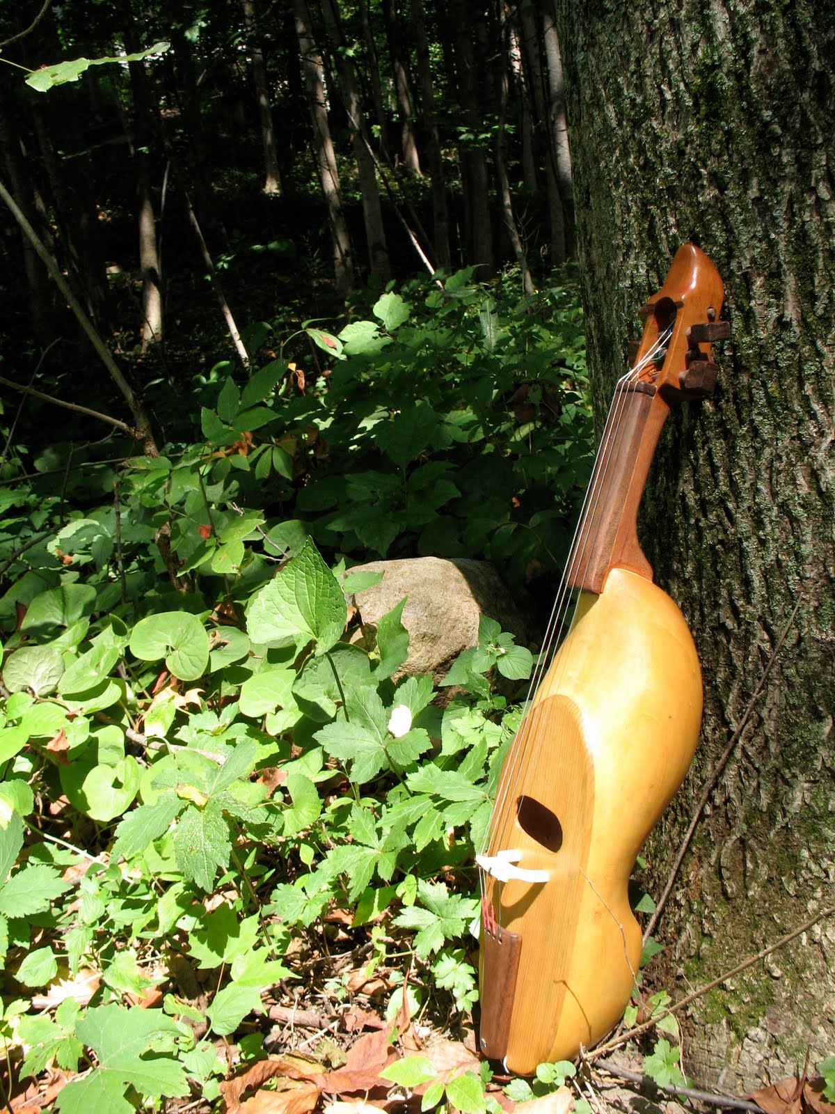 Lantern Forest: The Clog Fiddle Project
