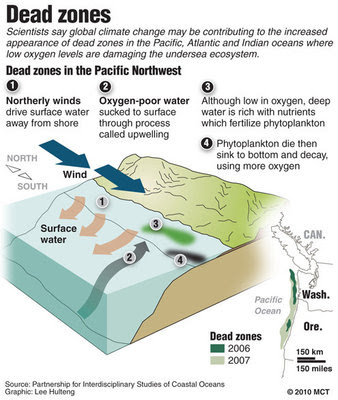 RTSea Blog: observations on oceans, sharks and nature: Ocean Dead Zones ...