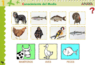Empiezo a aprender: Clasifica mamíferos, aves y peces