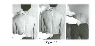 fisiochiodi: Guia de Avaliação Postural