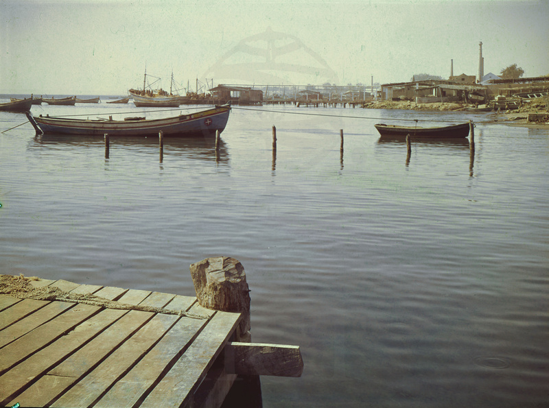 Kimbares.VilaMoura.2011: "Kimbares. VilaMoura.2011" - "Algarvios em ...