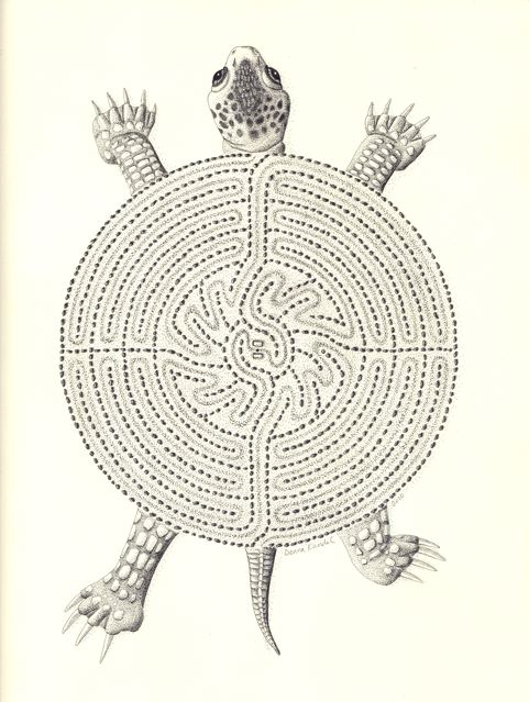 Donna Kandel: Turtle Labyrinth