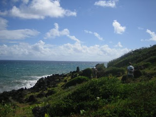 Gwadiary, la Gwada et moi (blog Guadeloupe): Le sentier de la Grande Pointe