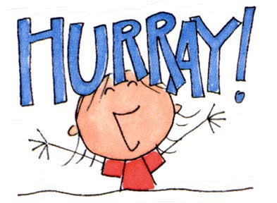 The DeCoursey Project: January 2011