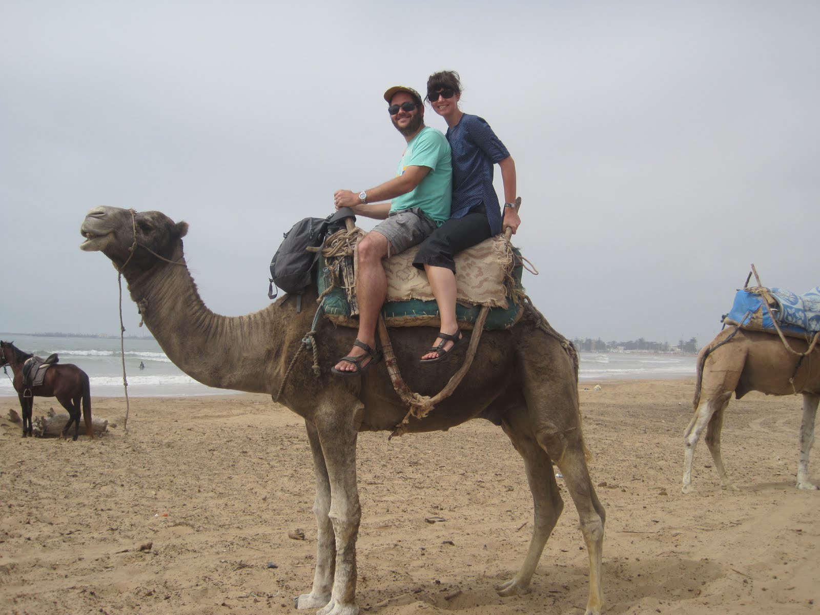 Larry and Larna's BEEG Adventure: Camel ride on the beach at Essaouira...