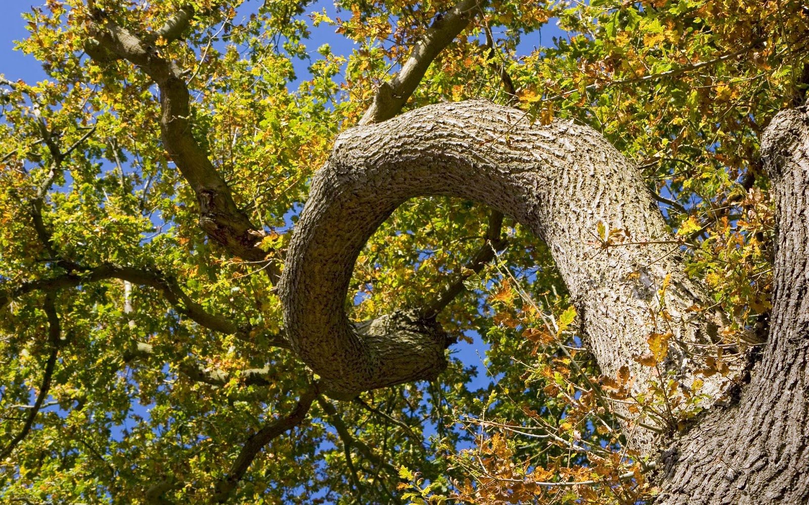 Jim's Meadville Journal: November 2010