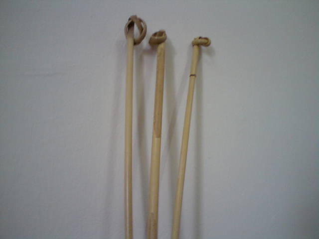 Alvin's blog: kena rotan