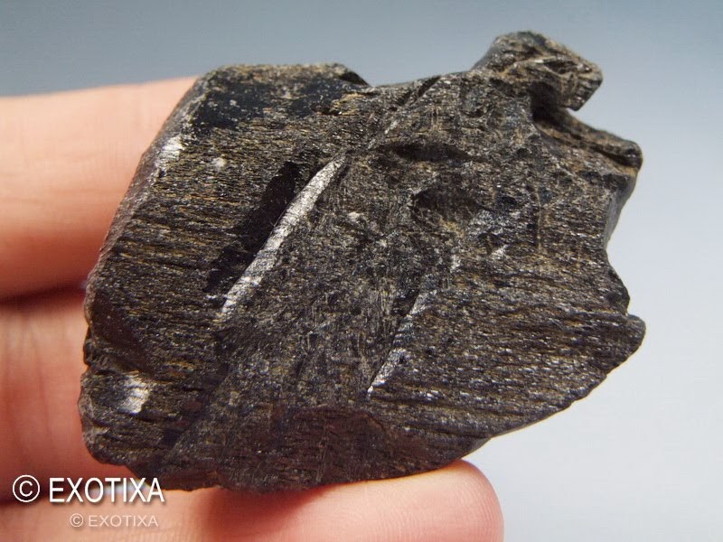 Exotixa Clubs: BLACK PYROXENE-Augite ROUGH