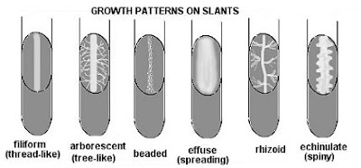 MicroA: Morphology on Slant Medium