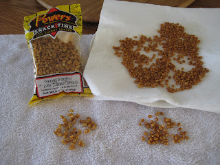 NEVERTHELESS, WHEAT FOR MAN: Popped wheat experimenting and SUCCESS
