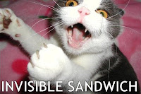 Lightning Rod Man: Funny LolCats!