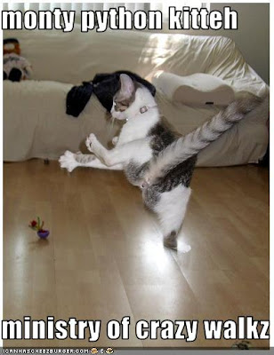 crazy funny pictures