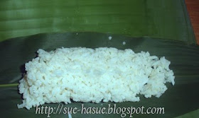Tapai Nasi