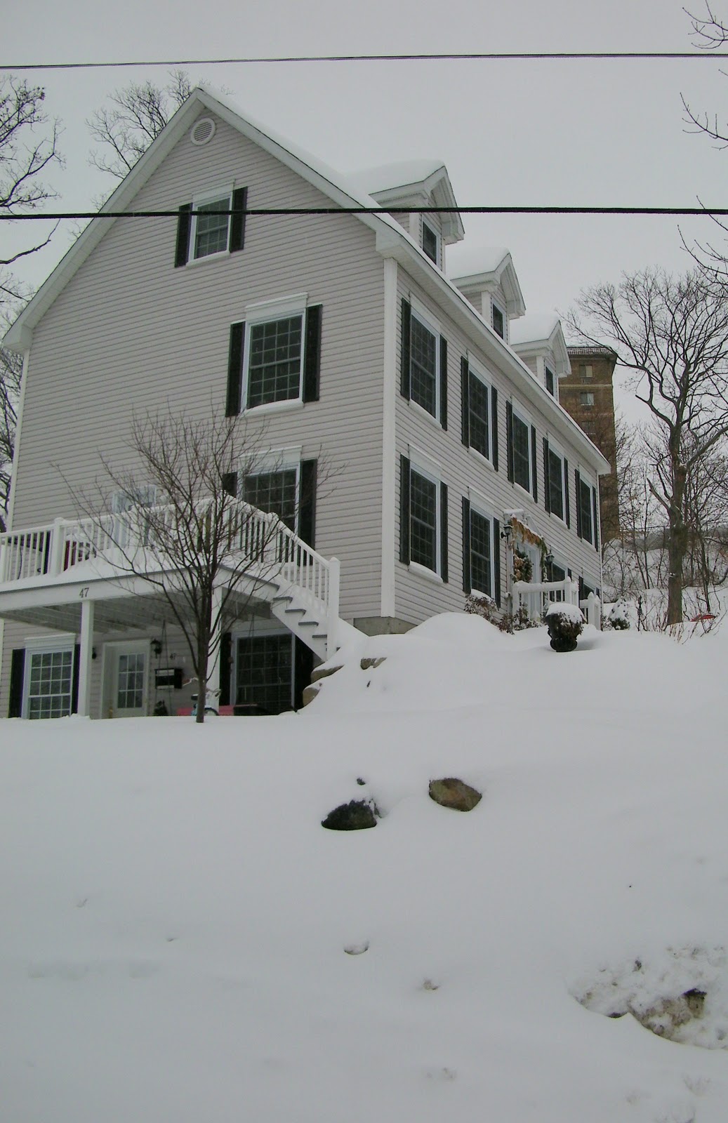 Maison Decor: Snowy Yard Tour